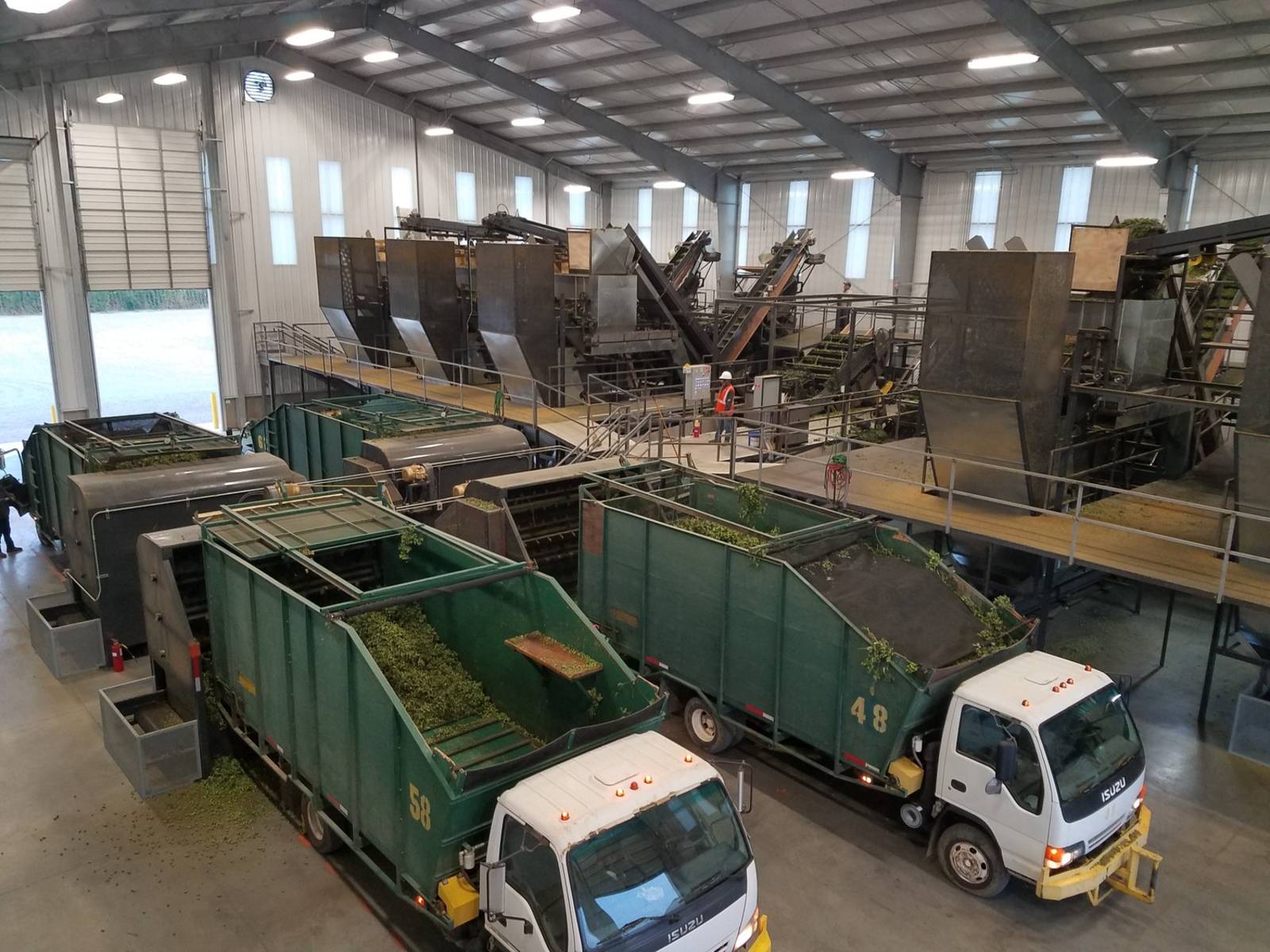 Hops - Green Acre Farms